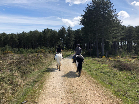 Bournemouth Beach Ride