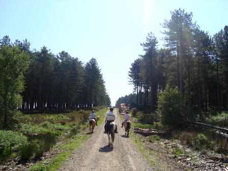 Bournemouth Beach Ride