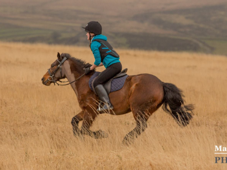 Horse Riding Holiday Dartmoor | Trail Riding Devon