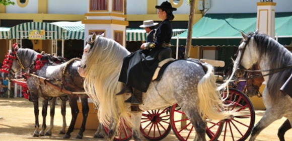 Riding Holidays Spain | Ride Andalucian Horses